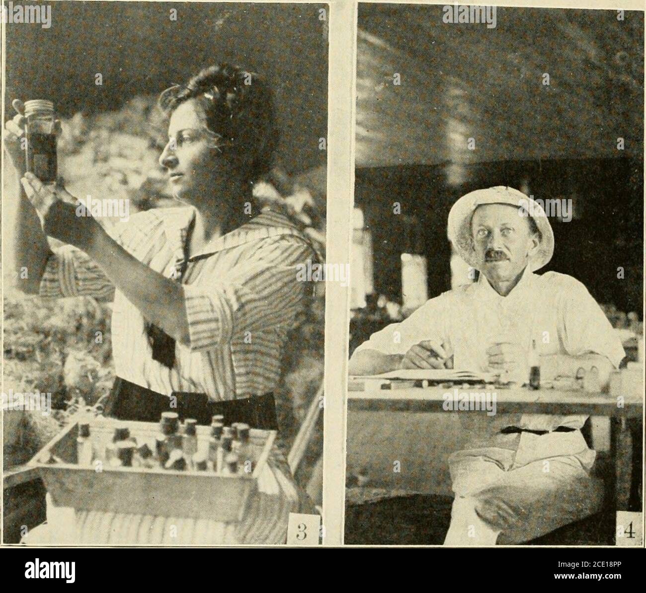 . Barbados-Antigua expedition; narrative and preliminary report of a ...