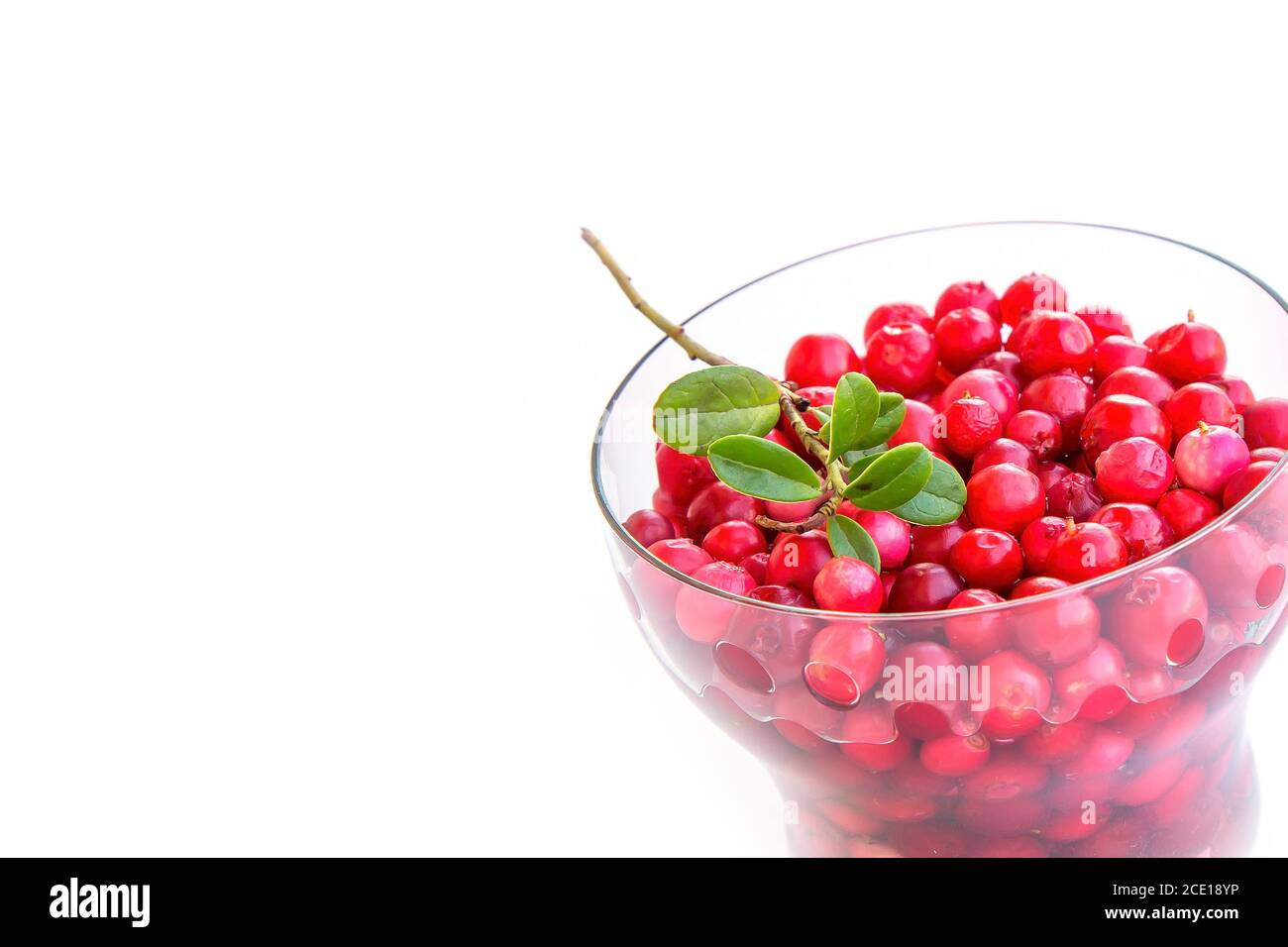 white background with organic cranberry Stock Photo - Alamy