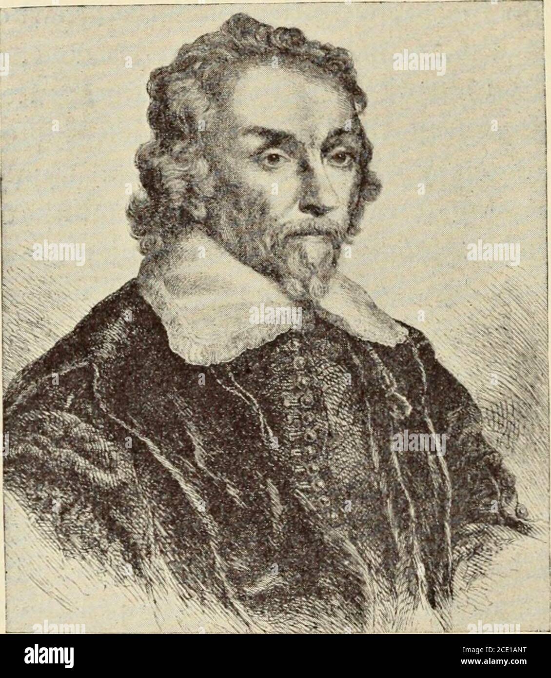 Buffalo 2d ed illustrated hi-res stock photography and images - Alamy