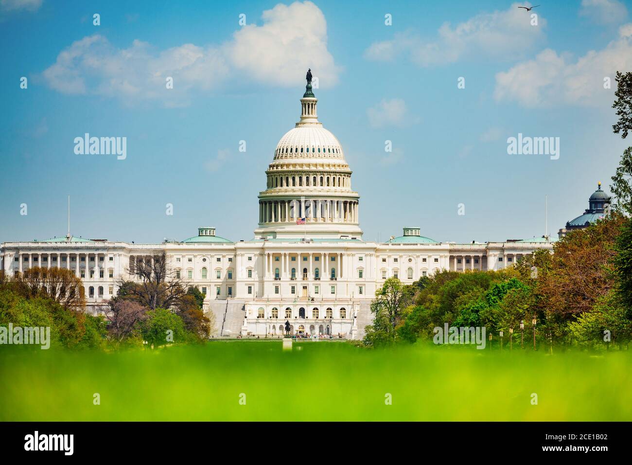 Palace plant hi-res stock photography and images - Alamy