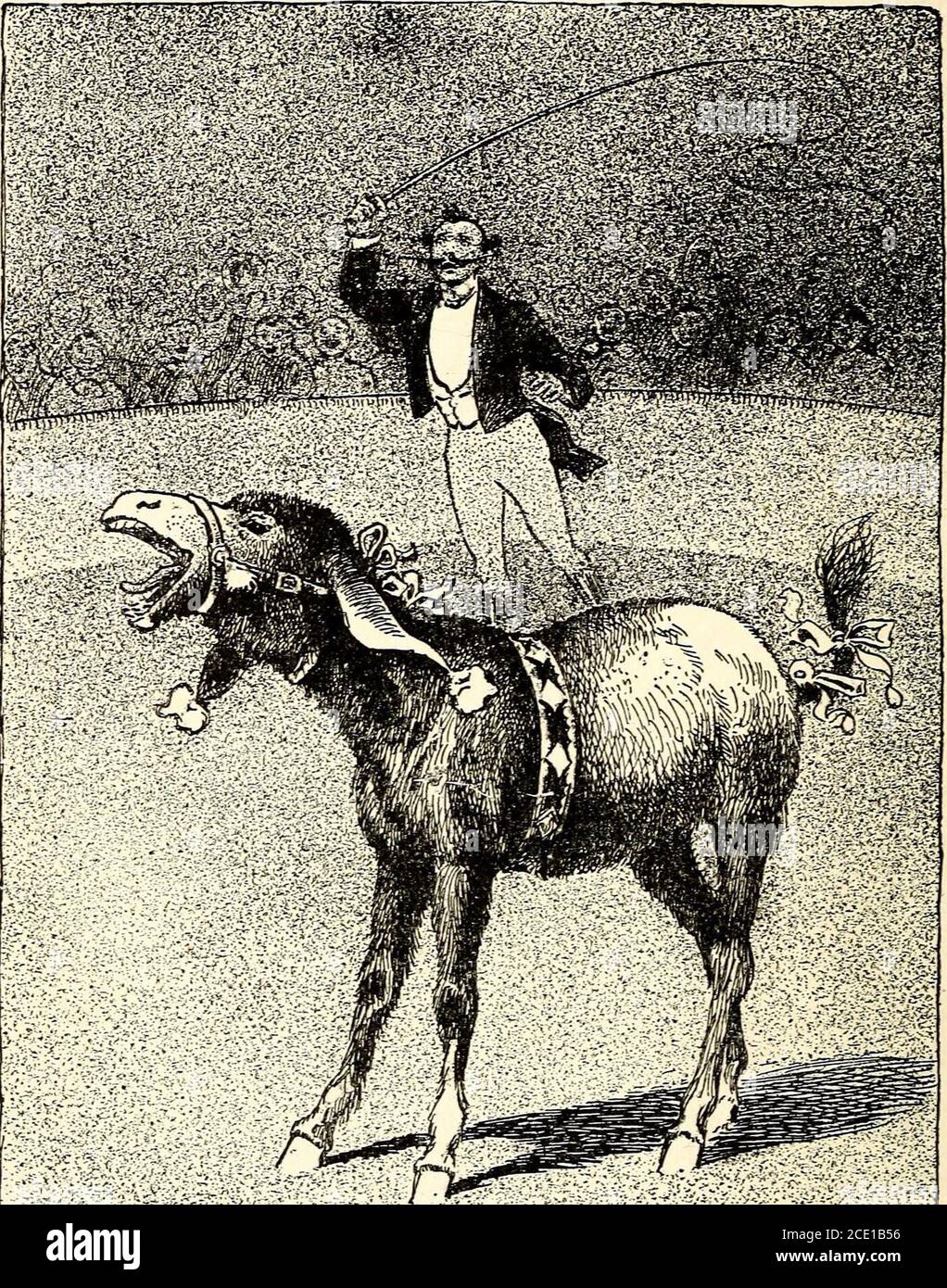 Braying donkey hi-res stock photography and images - Alamy