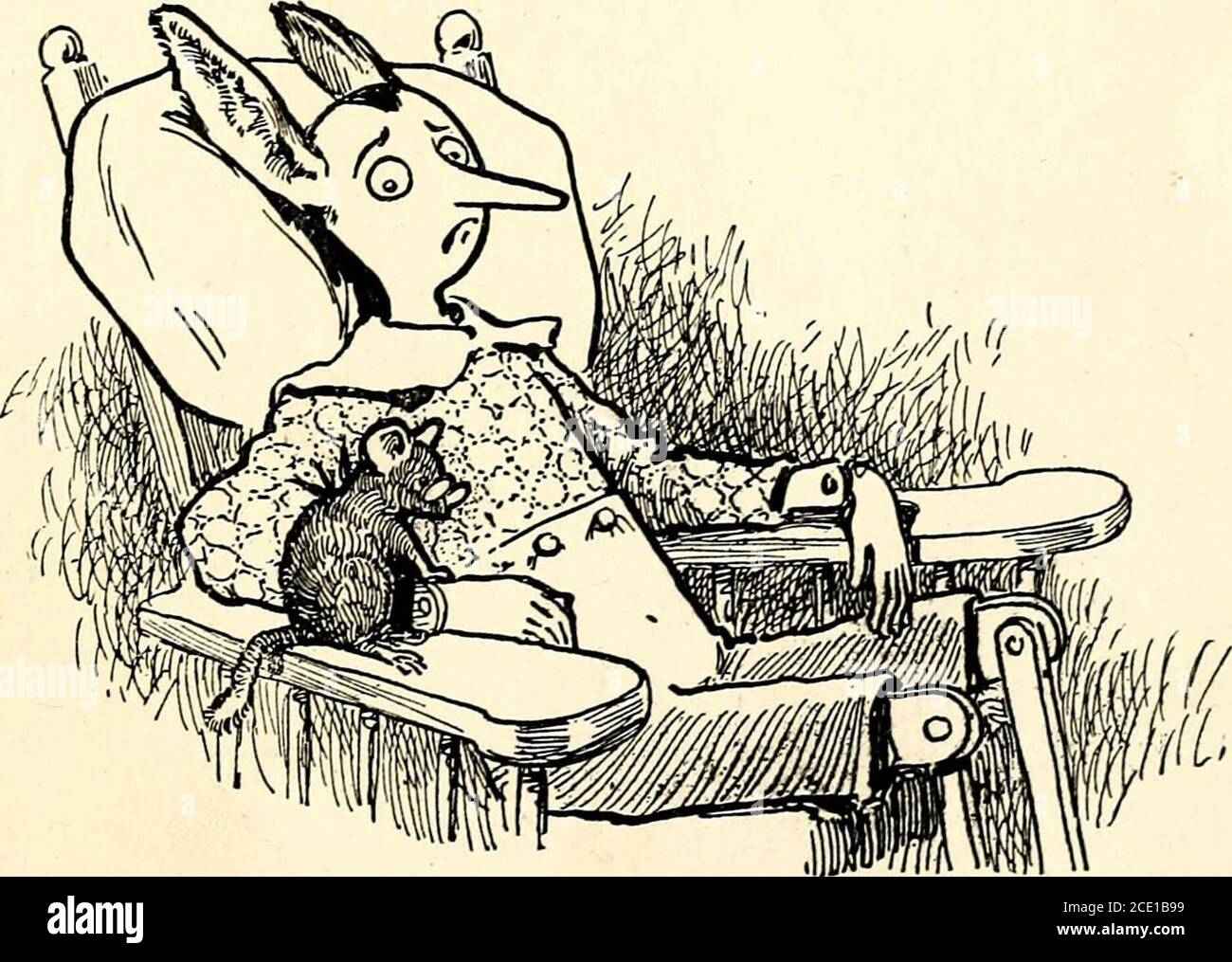 Dear donkey hi-res stock photography and images - Alamy