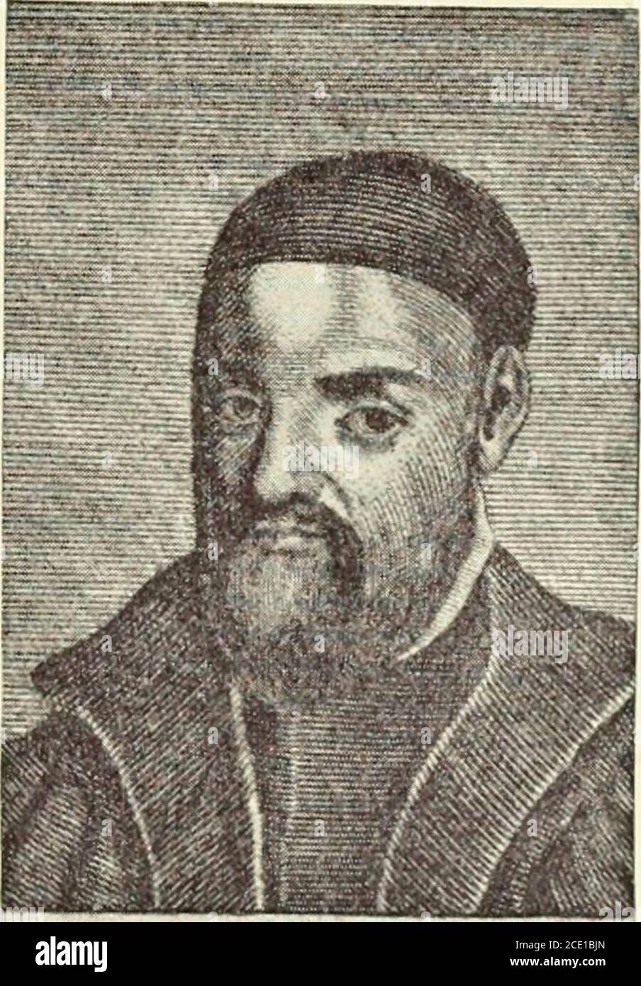 Fallopius hi-res stock photography and images - Alamy