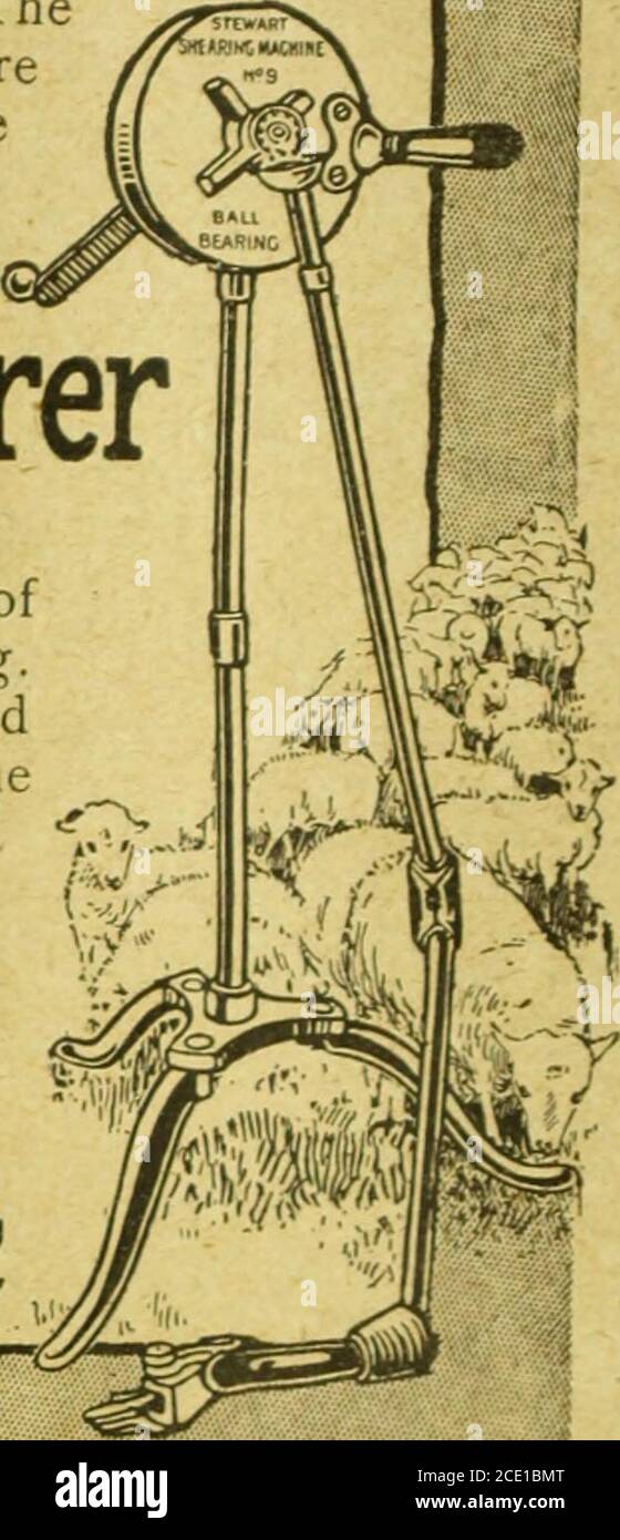 Shearing stand hi-res stock photography and images - Alamy