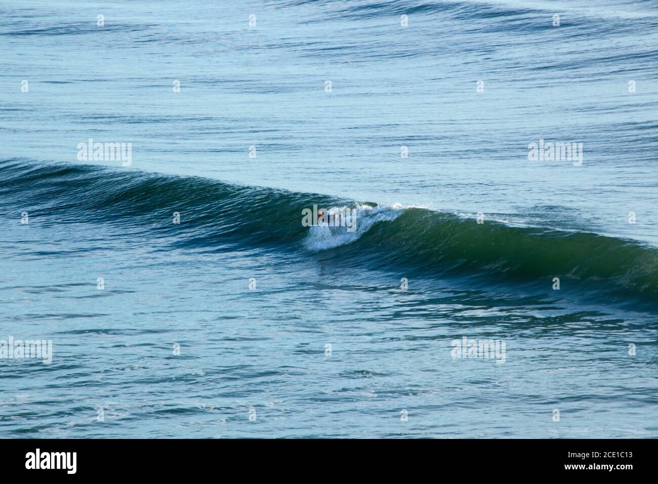 Surf is Up! Stock Photo - Alamy