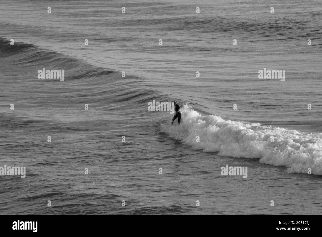 Surfer riding the Waves Stock Photo - Alamy