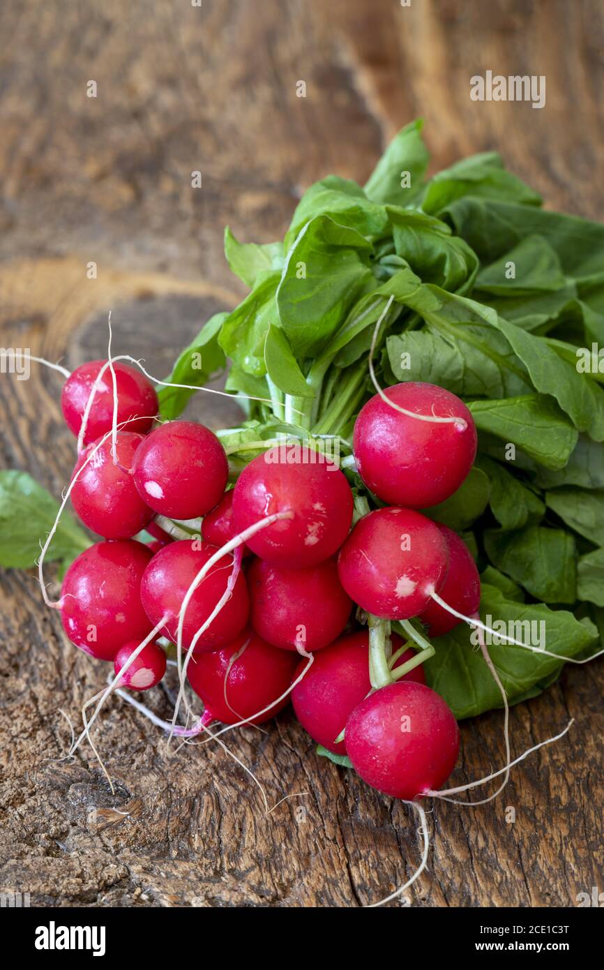 red radishes on dark wood Stock Photo - Alamy