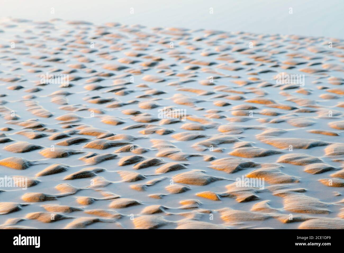 Abstract view of natural sand dune formation at the beach. Curly sand ...
