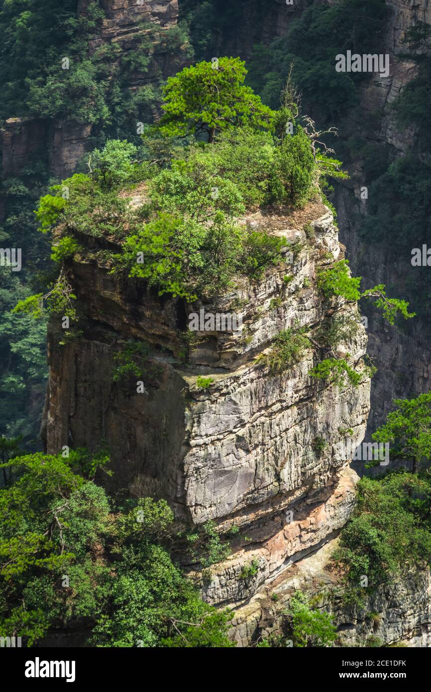 Stunning Mountain formations in Zhangjiajie Stock Photo - Alamy