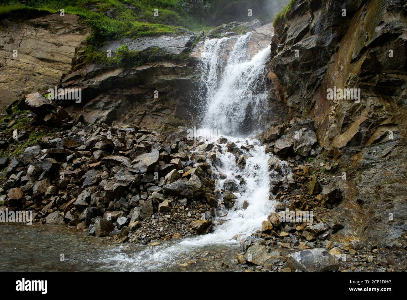 Sikkim india forest hi-res stock photography and images - Alamy