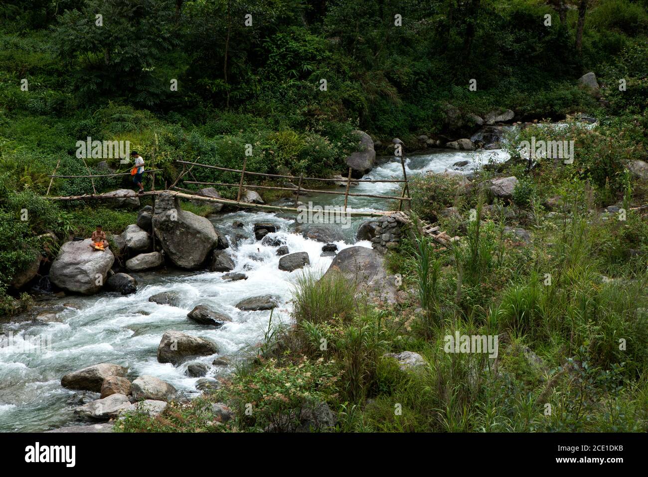 Sikkim Forest High Resolution Stock Photography and Images - Alamy