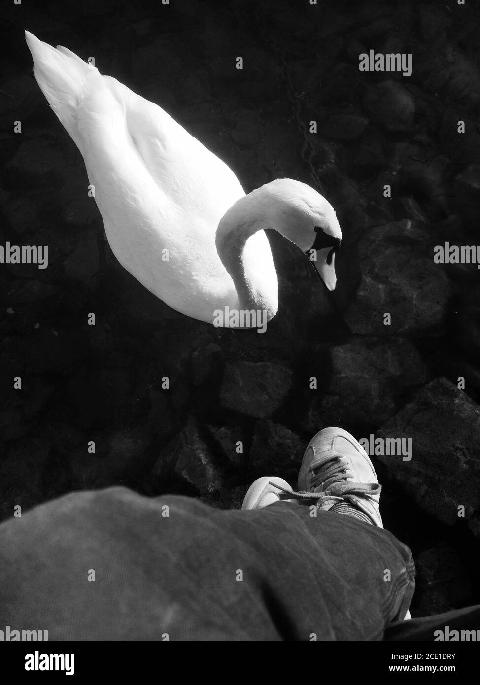 Legs dangling water hi-res stock photography and images - Alamy