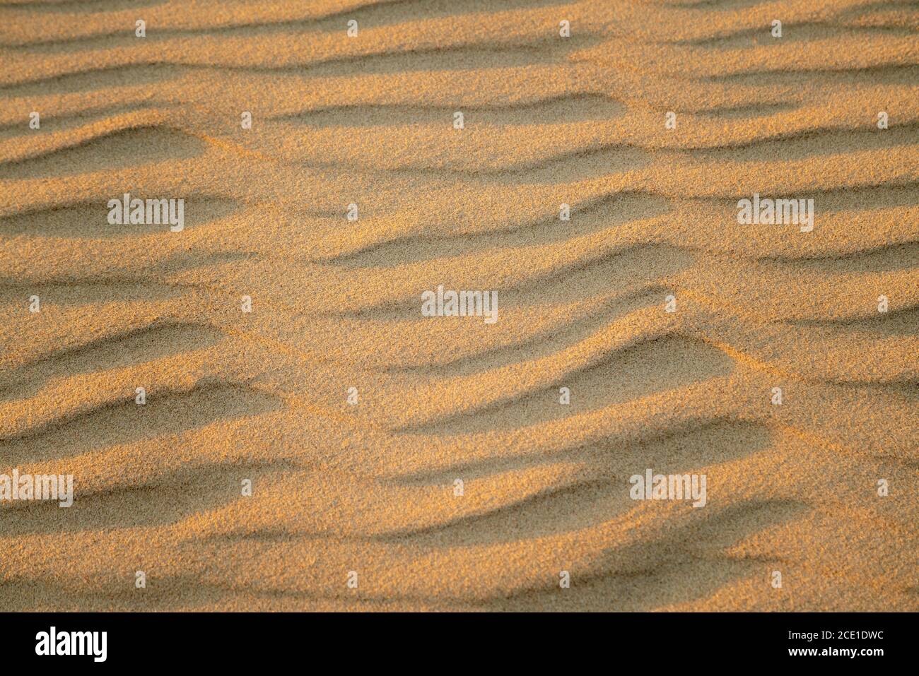 Abstract view of natural sand dune formation at the beach. Curly sand ...