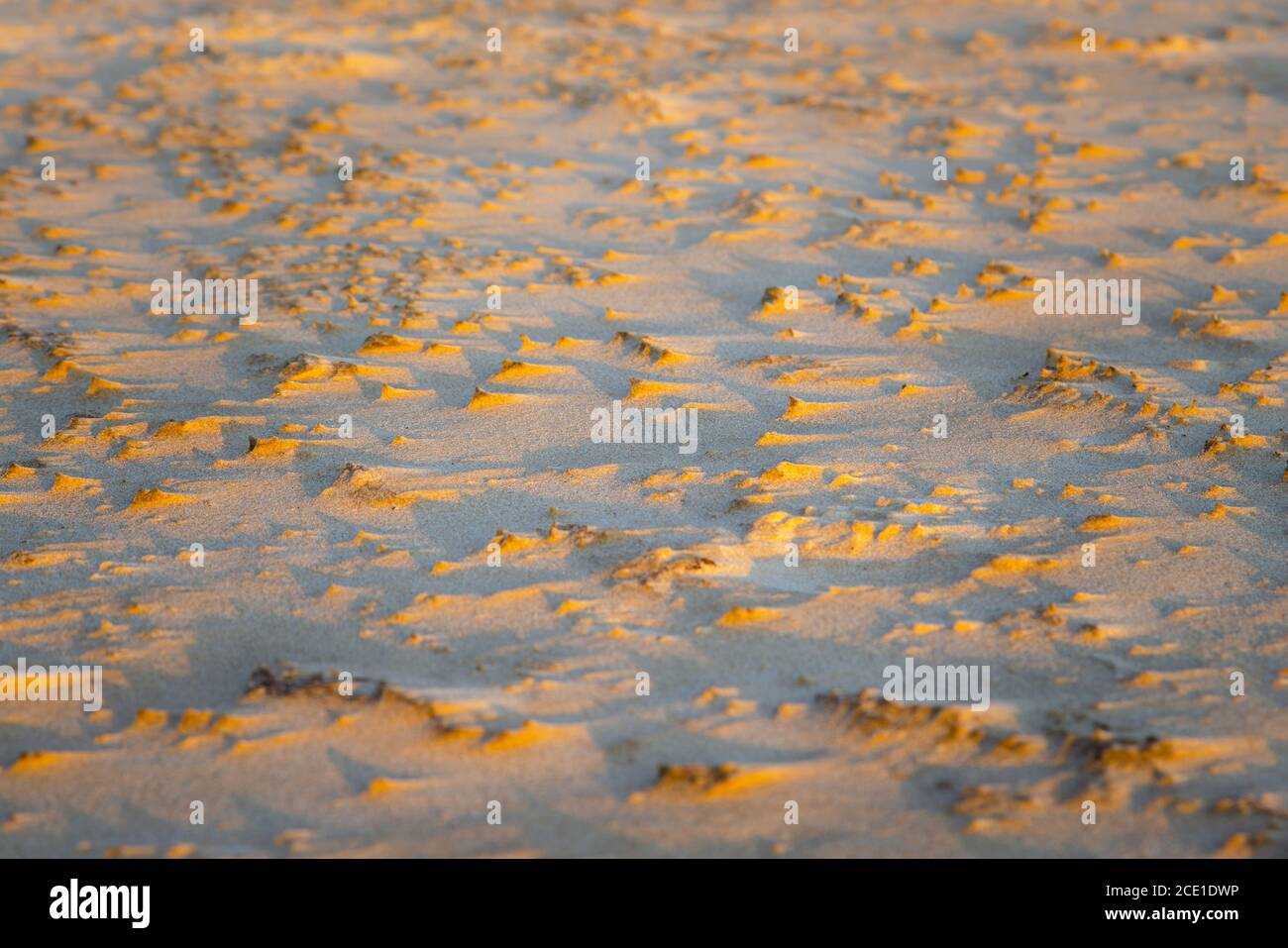 Abstract view of natural sand dune formation at the beach. Curly sand ...