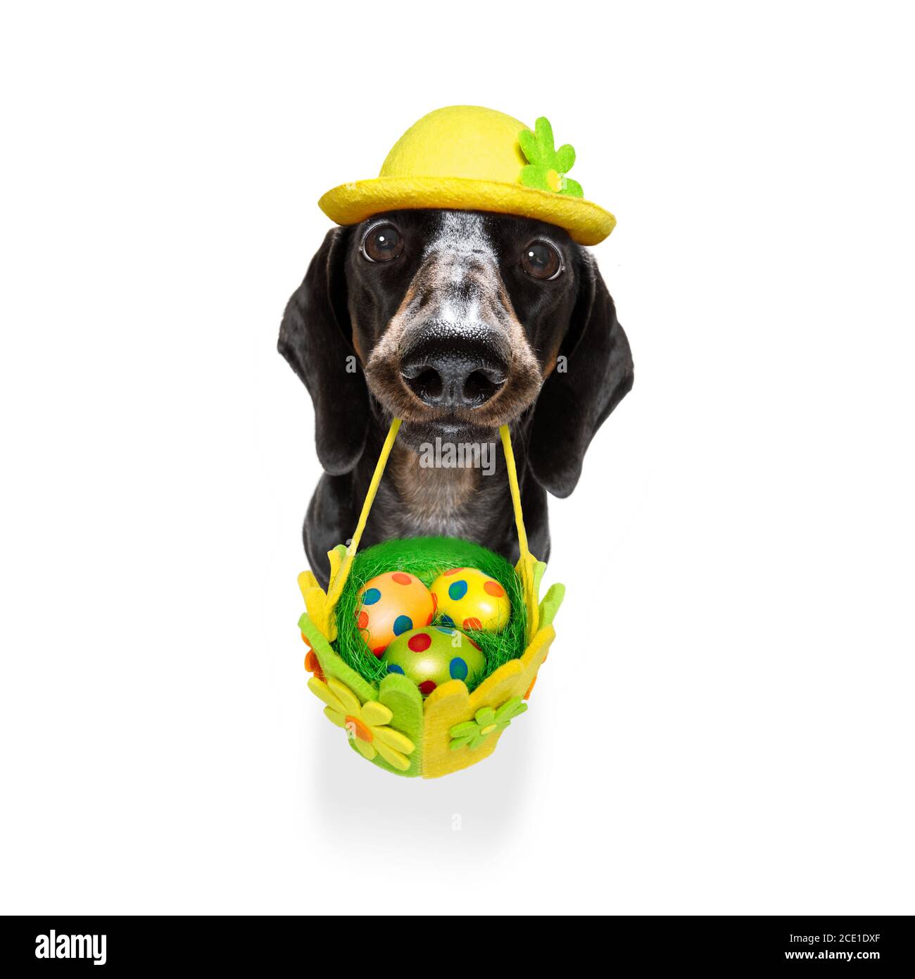 Easter b Cut Out Stock Images & Pictures - Alamy