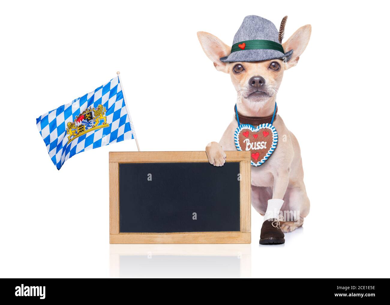 bavarian beer dog Stock Photo - Alamy