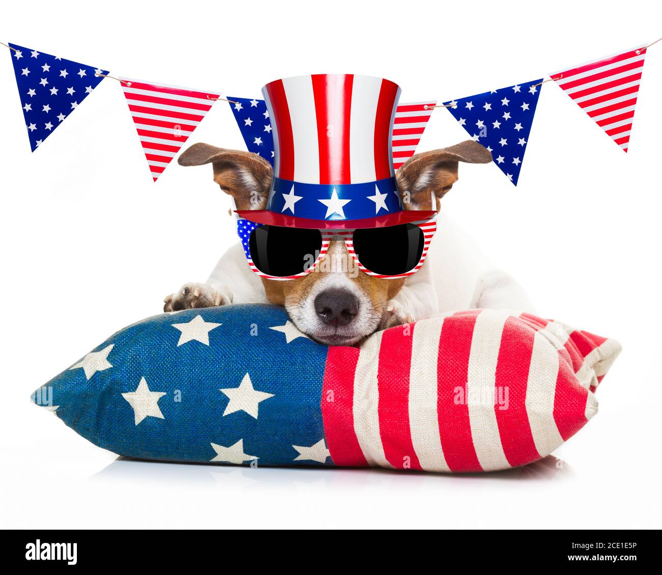 Independence day dog hi-res stock photography and images - Alamy