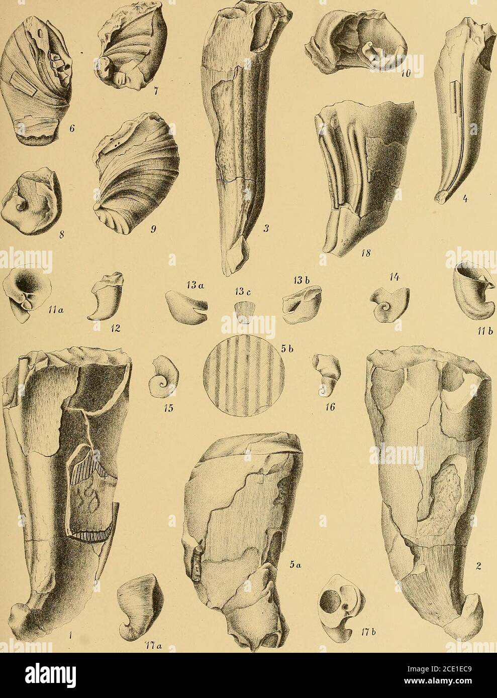 . Abhandlungen der mathematisch-naturwissenschaftlichen Classe der ...