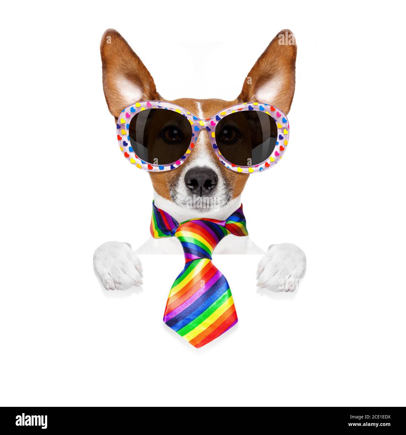 Gay dog hi-res stock photography and images - Alamy