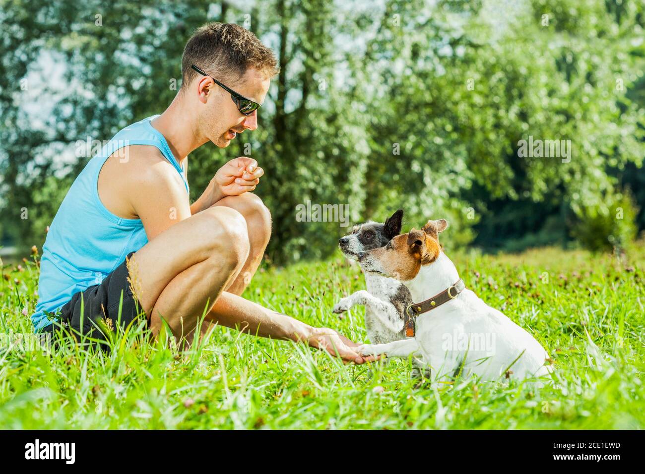 dogs and owner training Stock Photo - Alamy