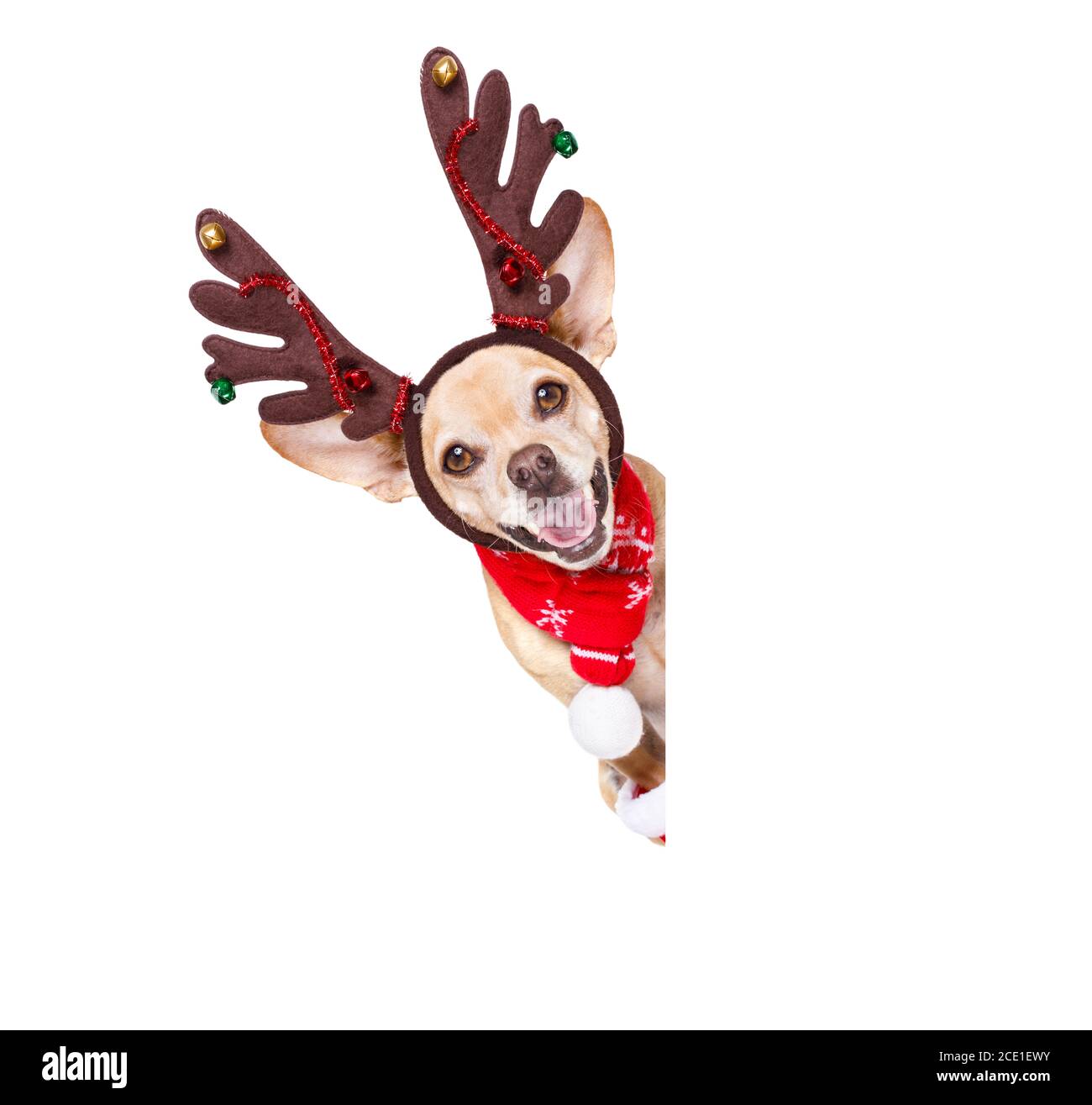New years deer christmas Cut Out Stock Images & Pictures - Alamy