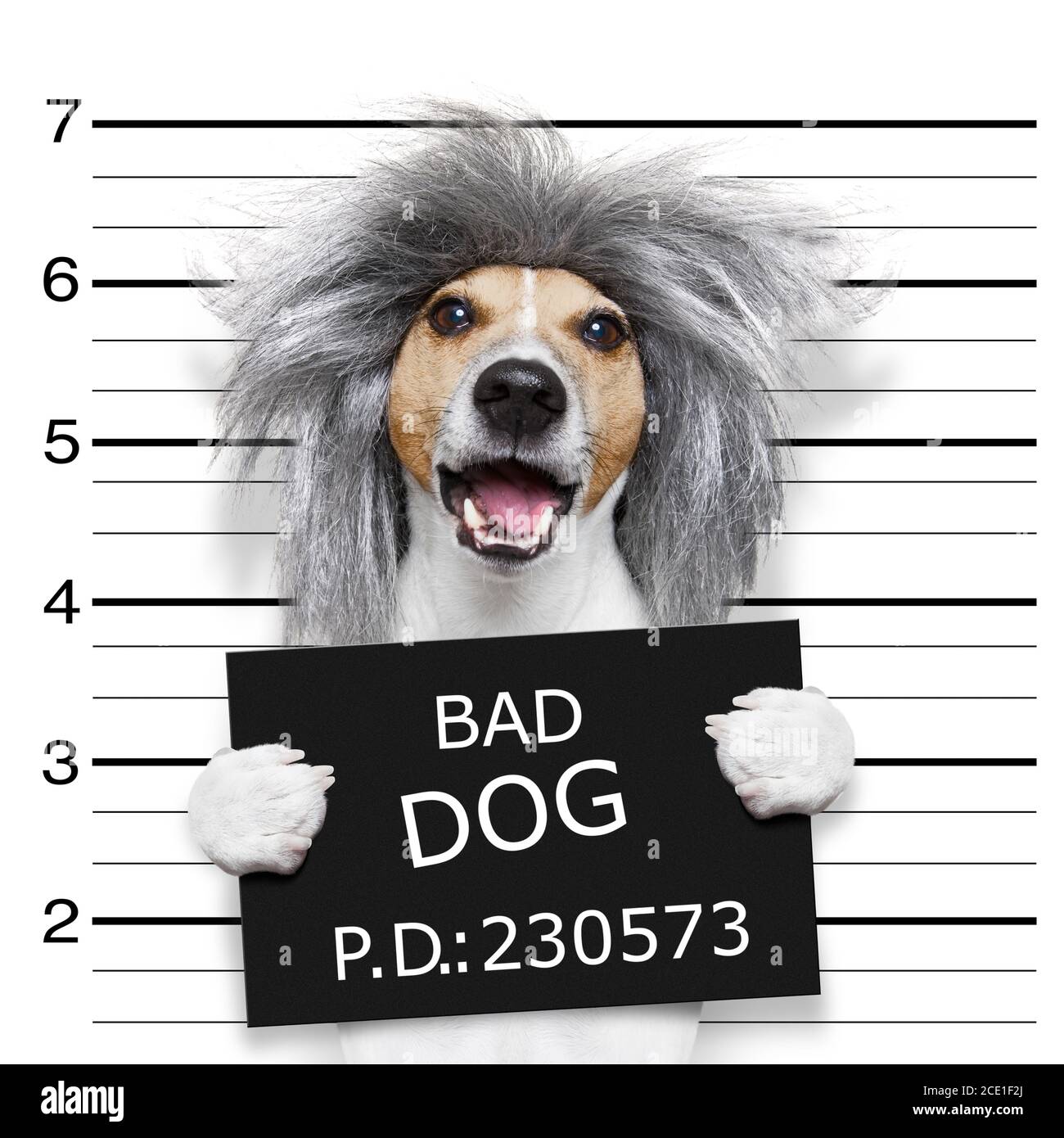 Nerd drunk hi-res stock photography and images - Alamy