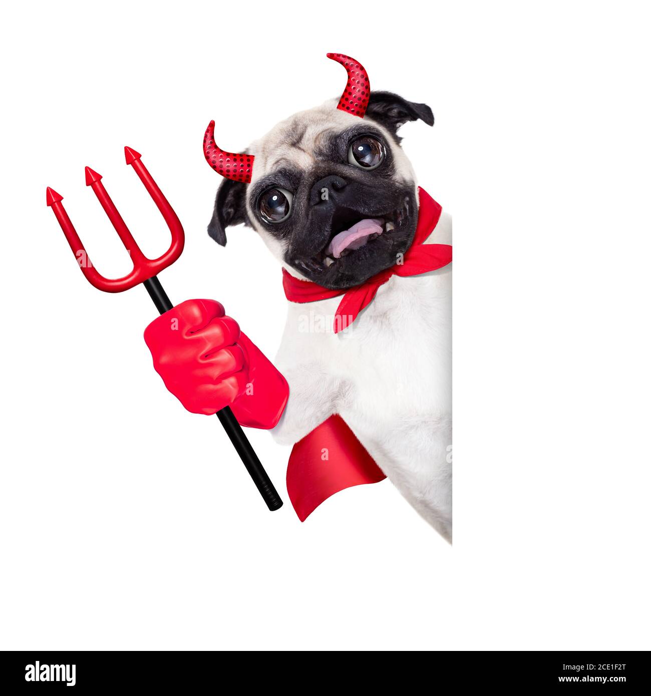 halloween devil dog Stock Photo - Alamy