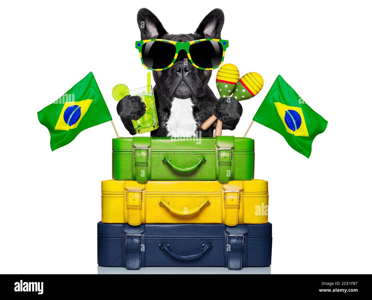 Brazilian bulldog hi-res stock photography and images - Alamy
