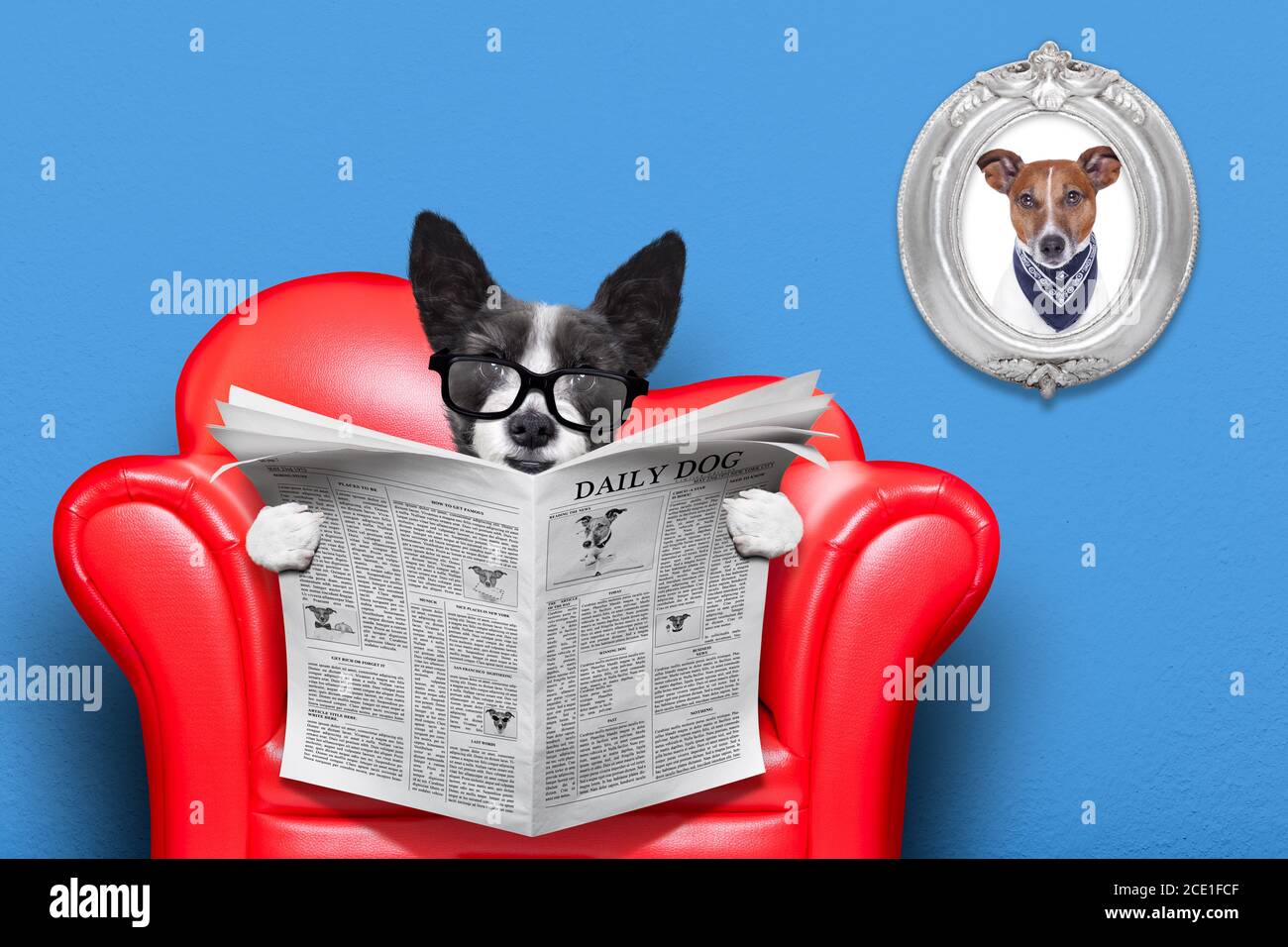 dog reading newspaper Stock Photo - Alamy
