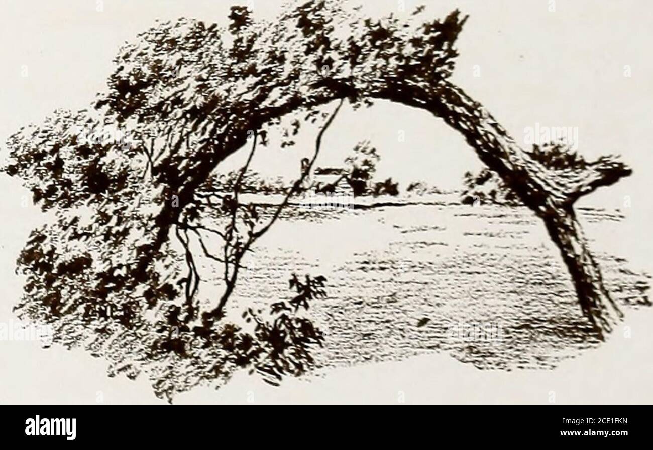 Yes theory hi-res stock photography and images - Alamy