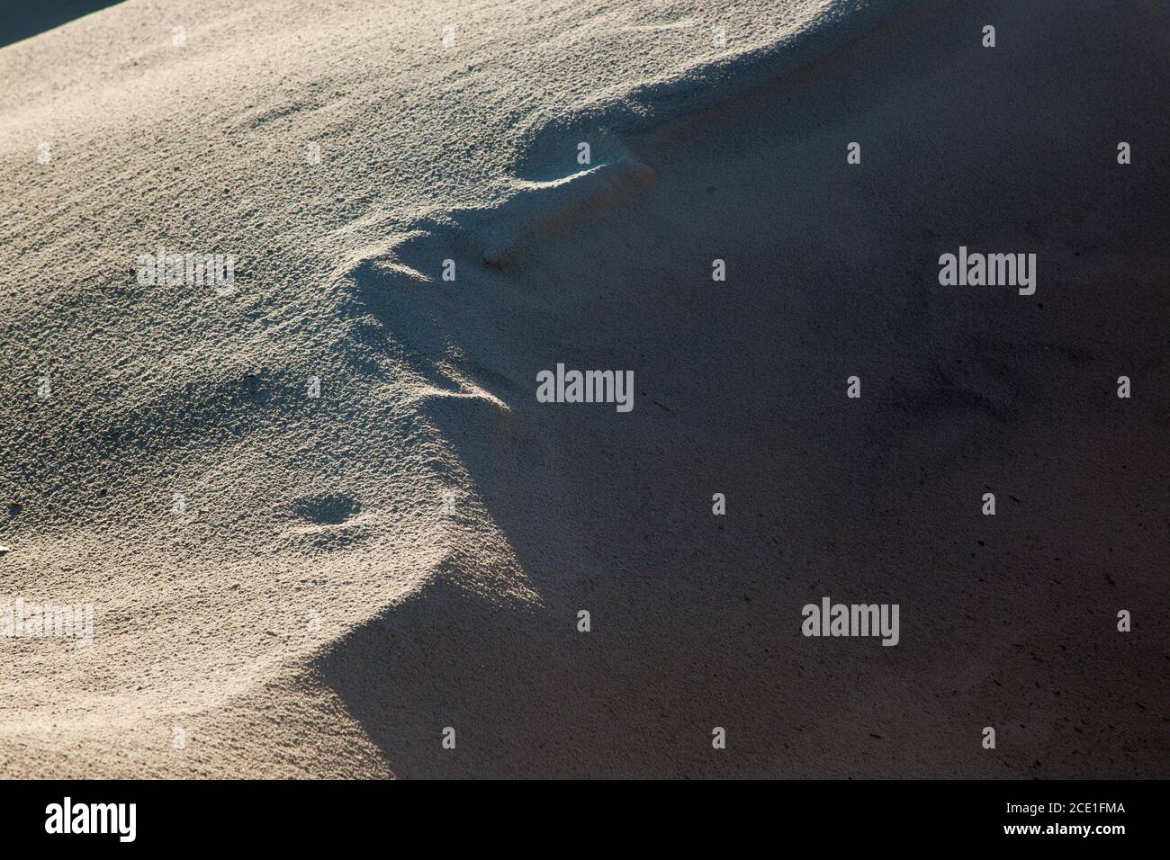 Sand Dunes in the Morning Sunshine Stock Photo - Alamy
