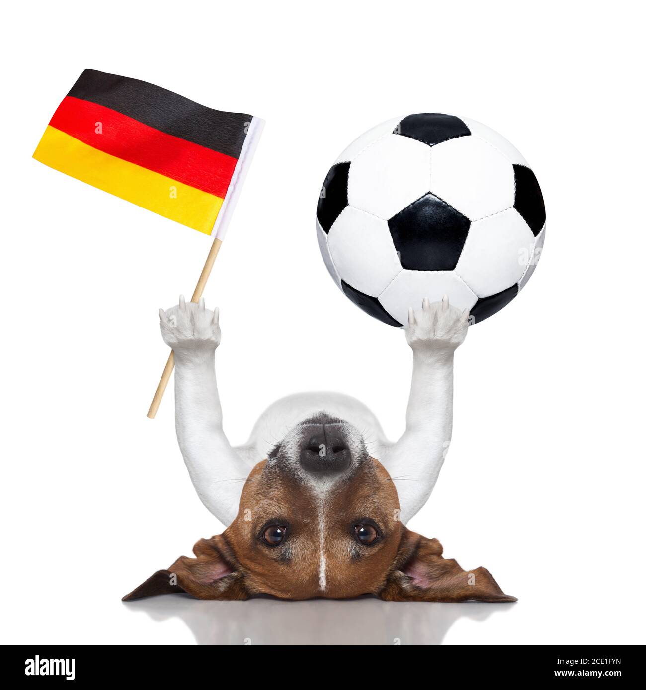 Dog paw flag hi-res stock photography and images - Alamy