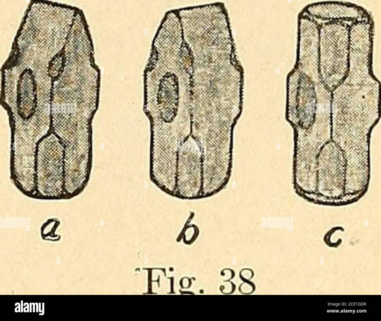 . Forging of iron and steel, a text book for the use of students in ...