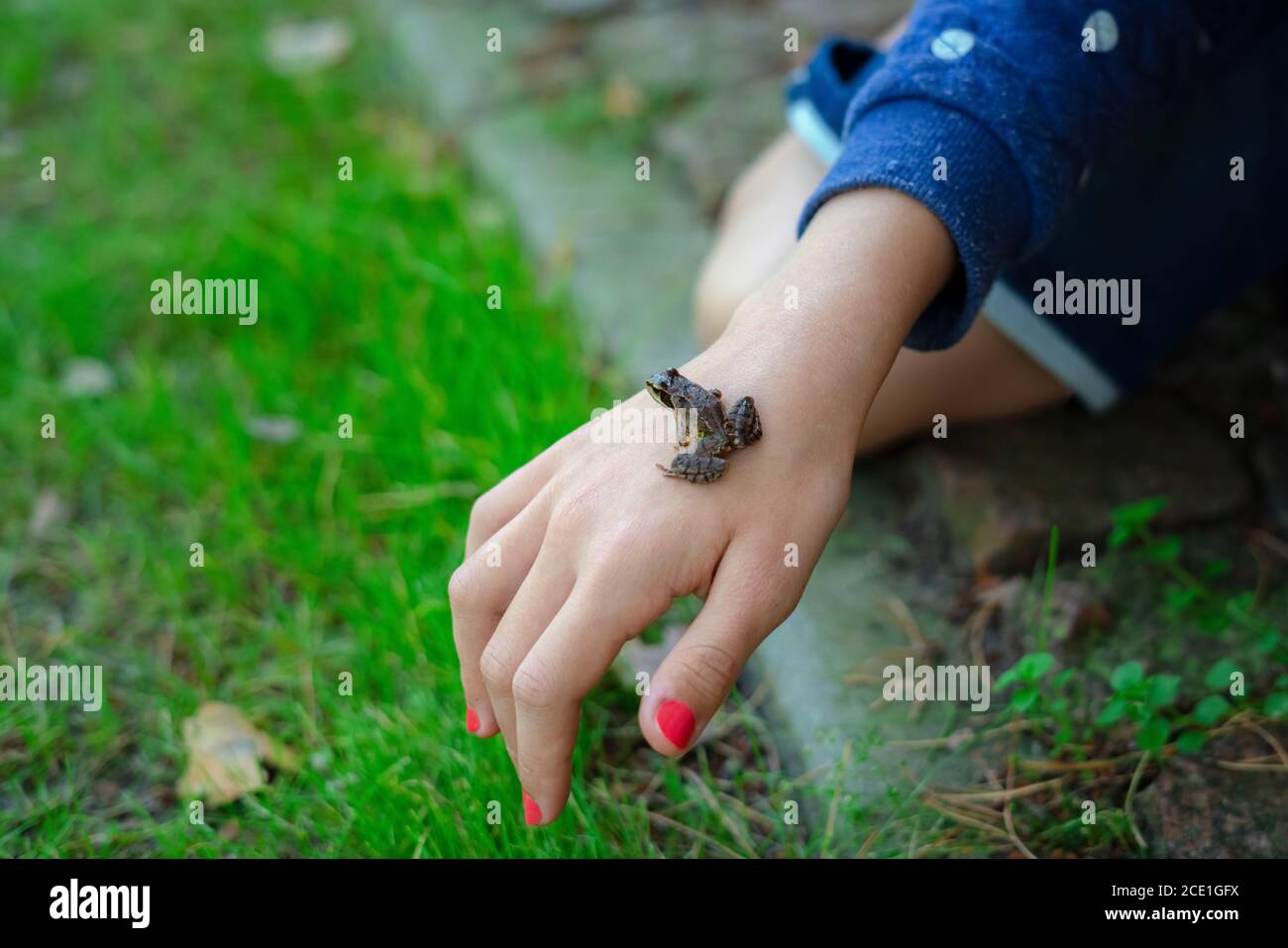 Green frog sitting on little girl hand. Child holding frog in the ...