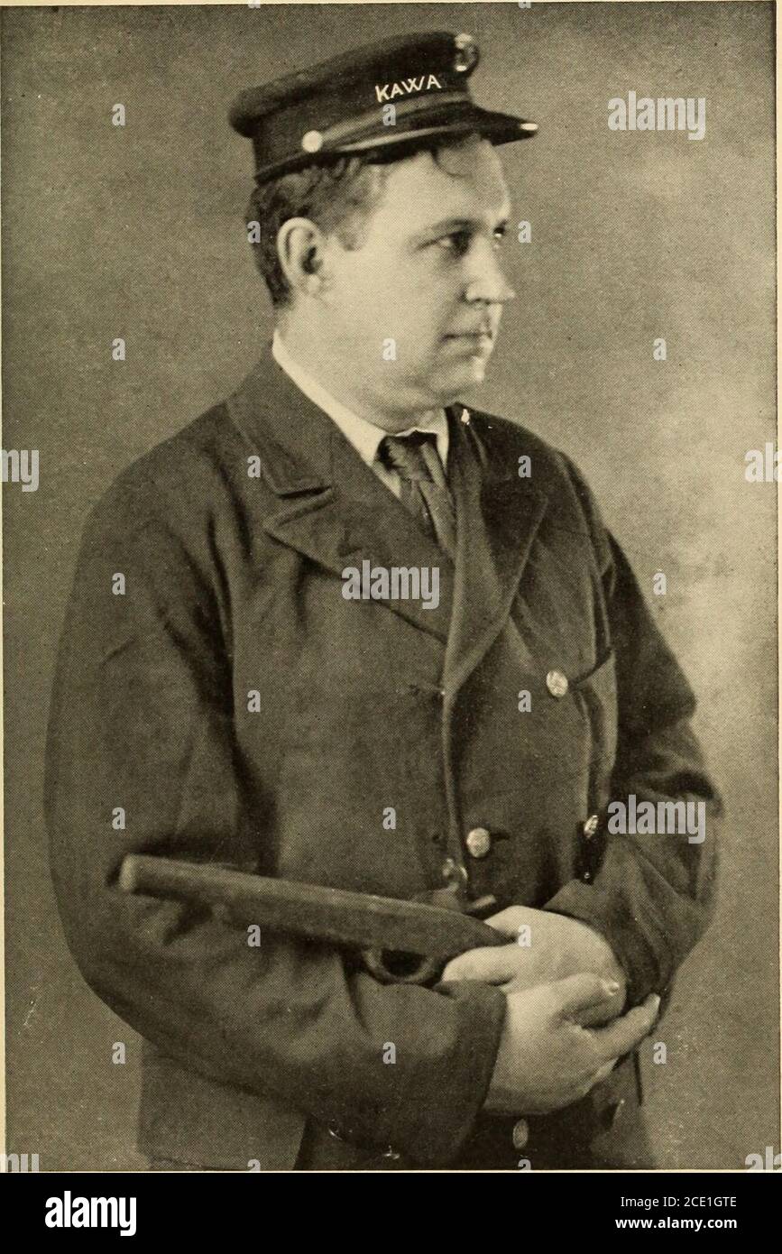 Robin paused hi-res stock photography and images - Alamy