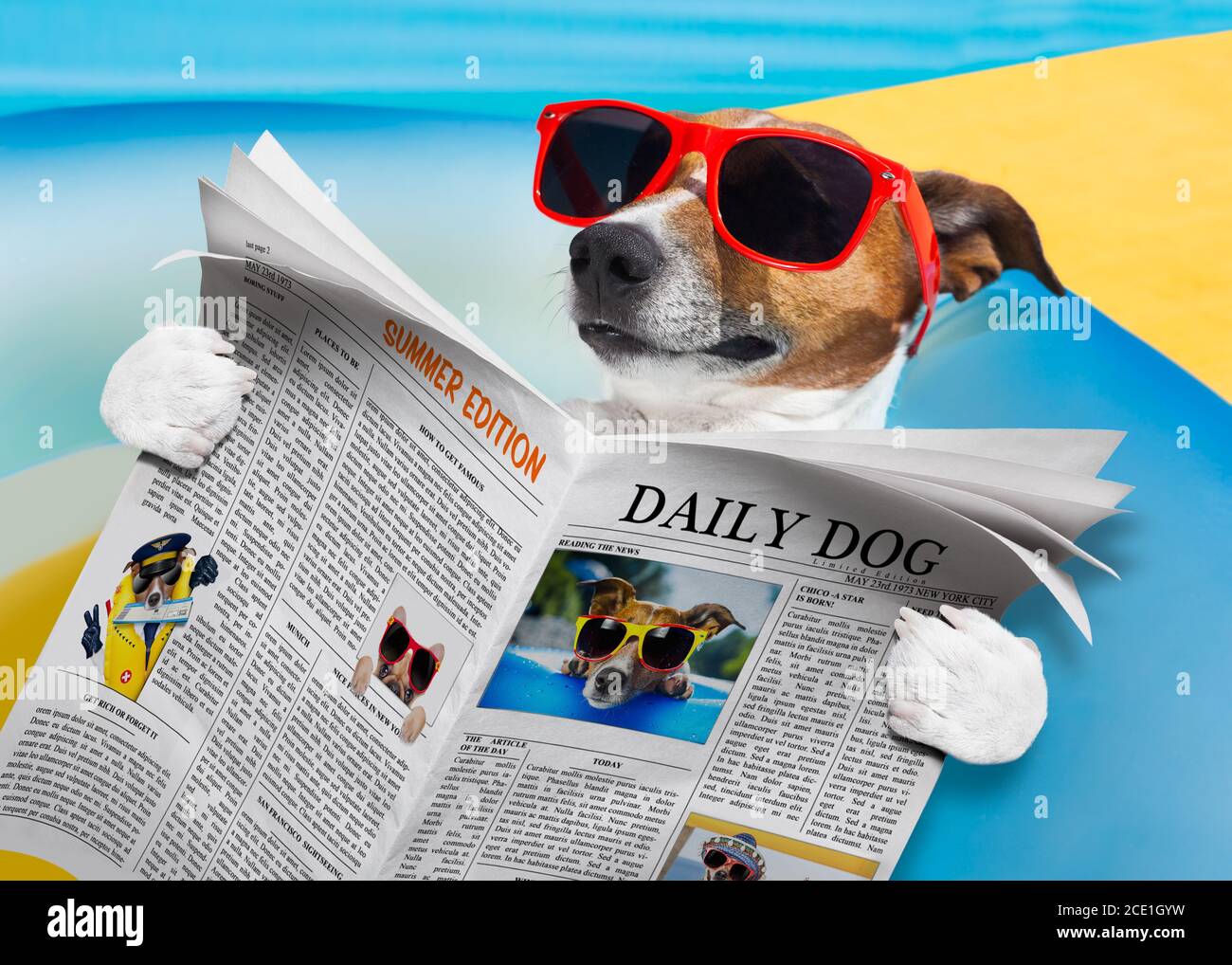 dog newspaper reading Stock Photo - Alamy