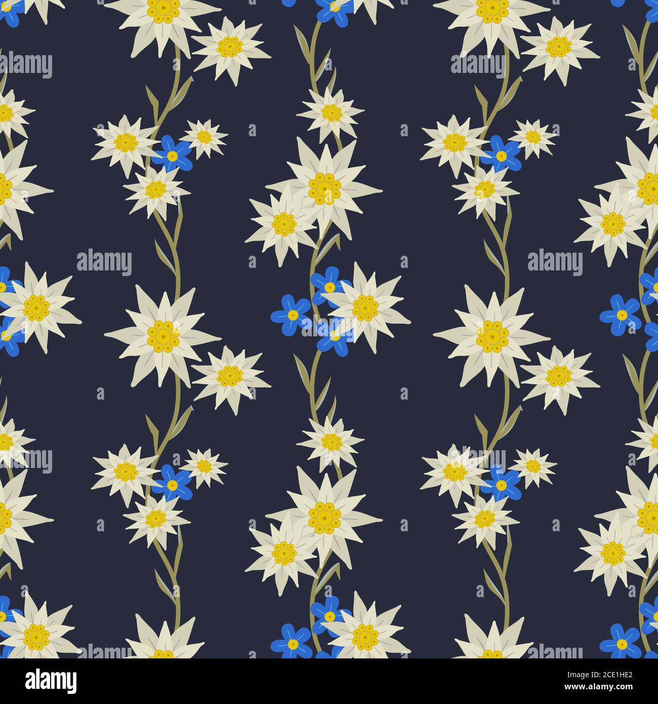 Edelweiss bloom Stock Vector Images - Alamy