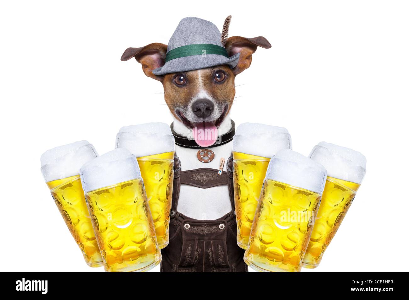 bavarian beer dog Stock Photo - Alamy