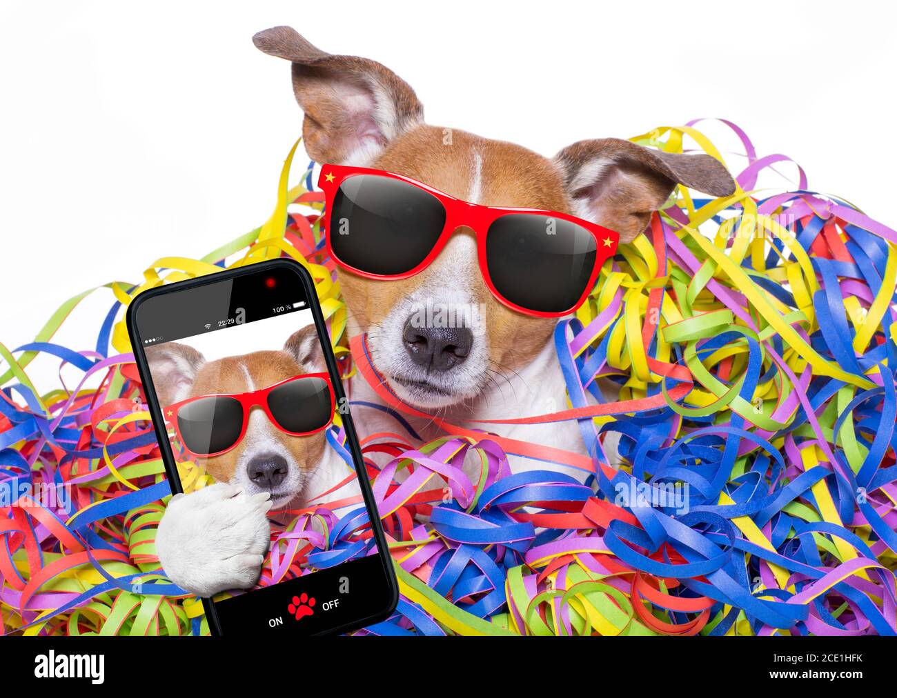party celebration dog Stock Photo - Alamy