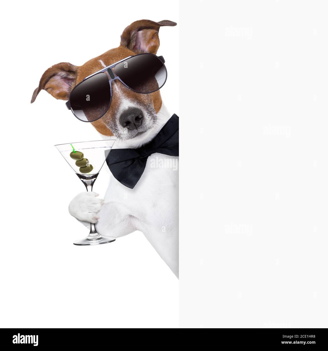 Aperitif dog hi-res stock photography and images - Alamy