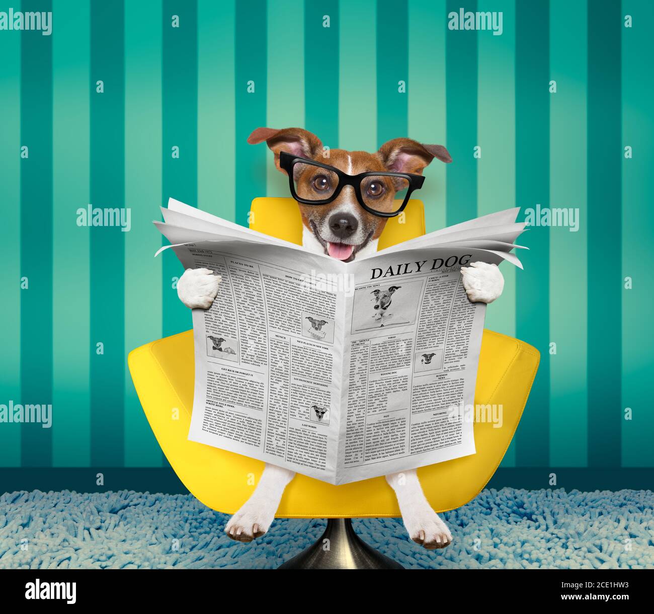 dog reading newspaper at home Stock Photo - Alamy