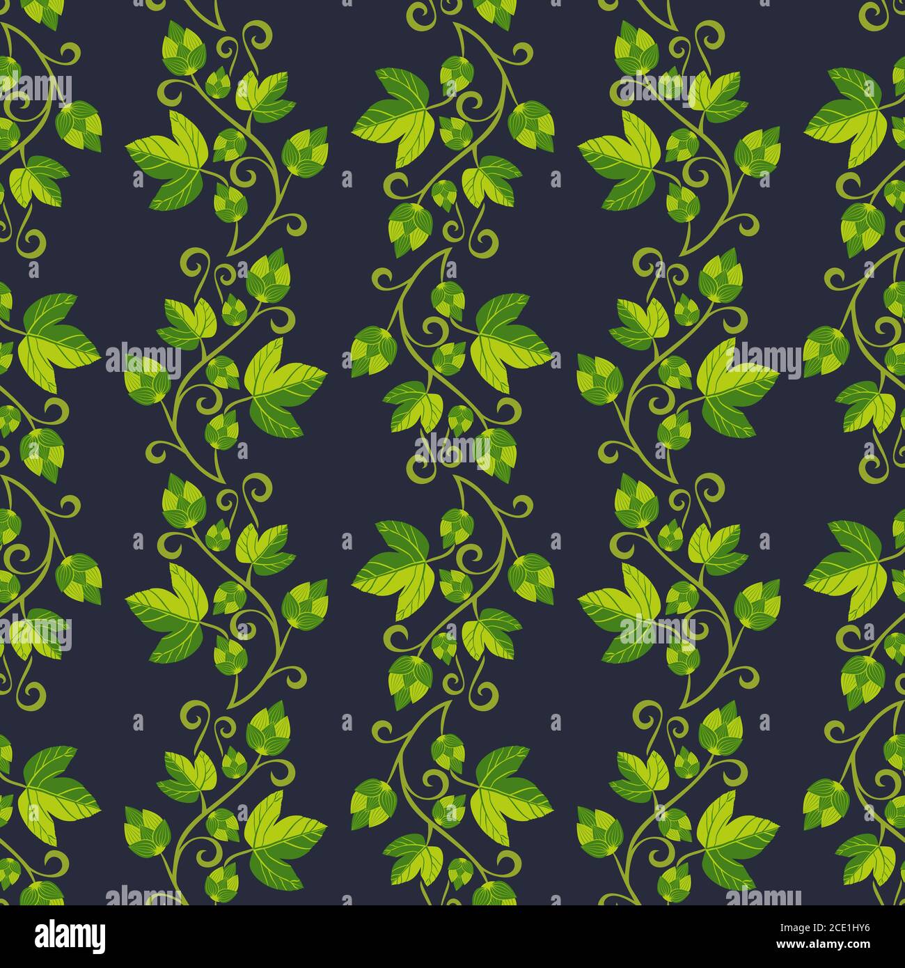 Hop plant border Stock Vector Images - Alamy