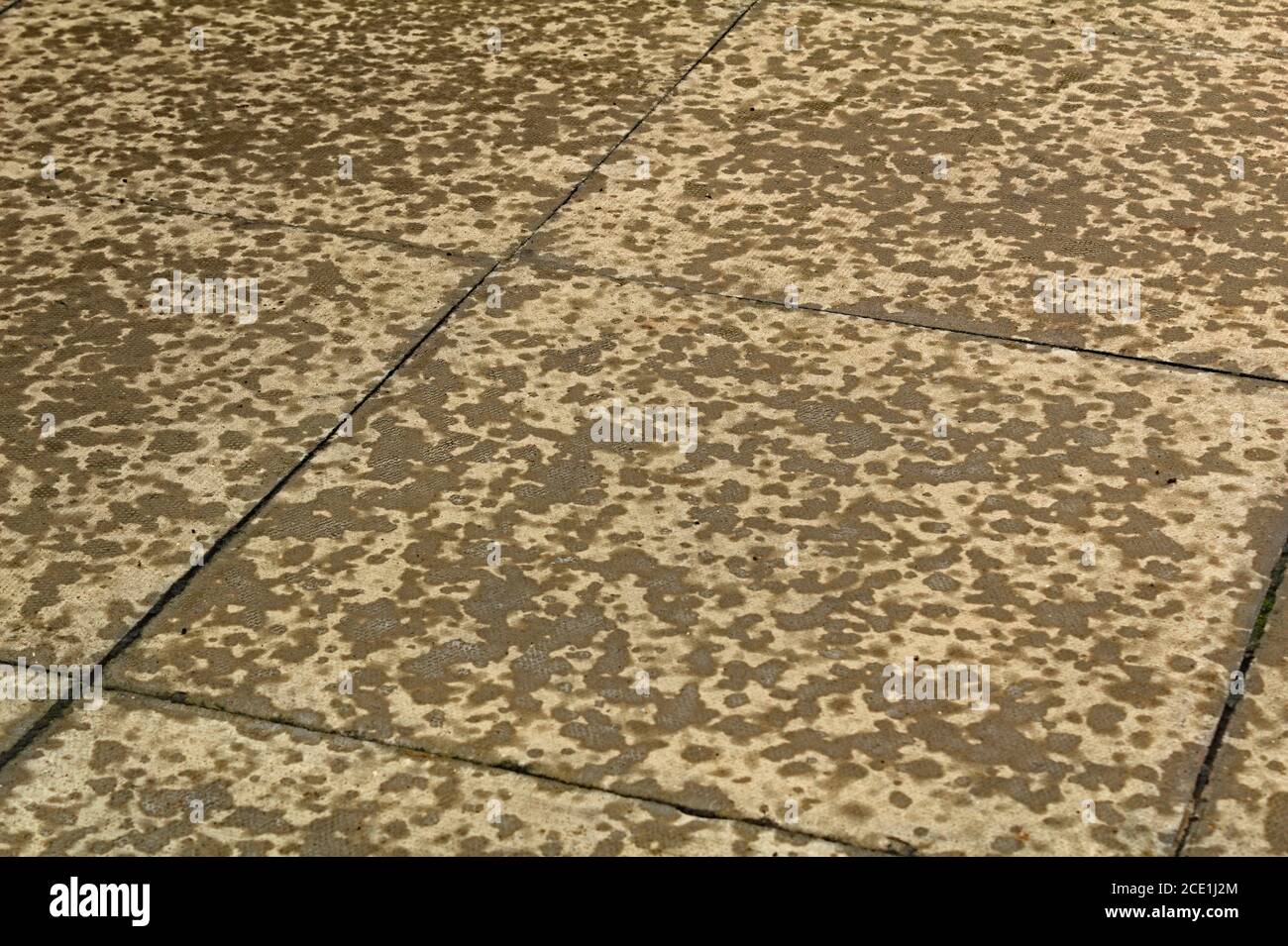 Wet stone texture hi-res stock photography and images - Alamy