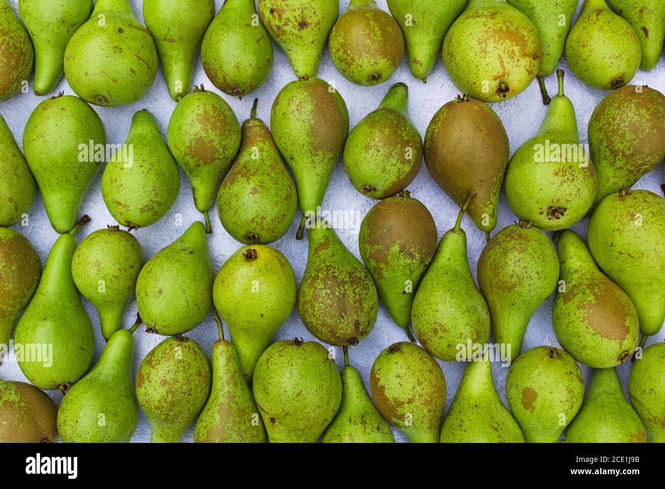 top down shot of pears in a market Stock Photo - Alamy