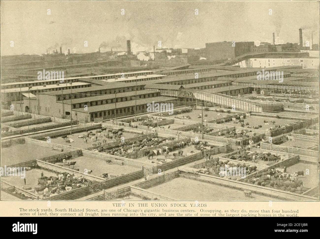 Union stock yards chicago hi-res stock photography and images - Alamy