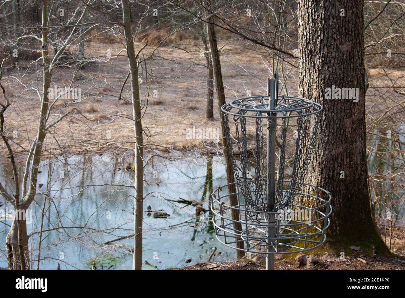 A Chain Frisbee Golf Hole in a Dead Winter Forest With a Pond Behind It ...