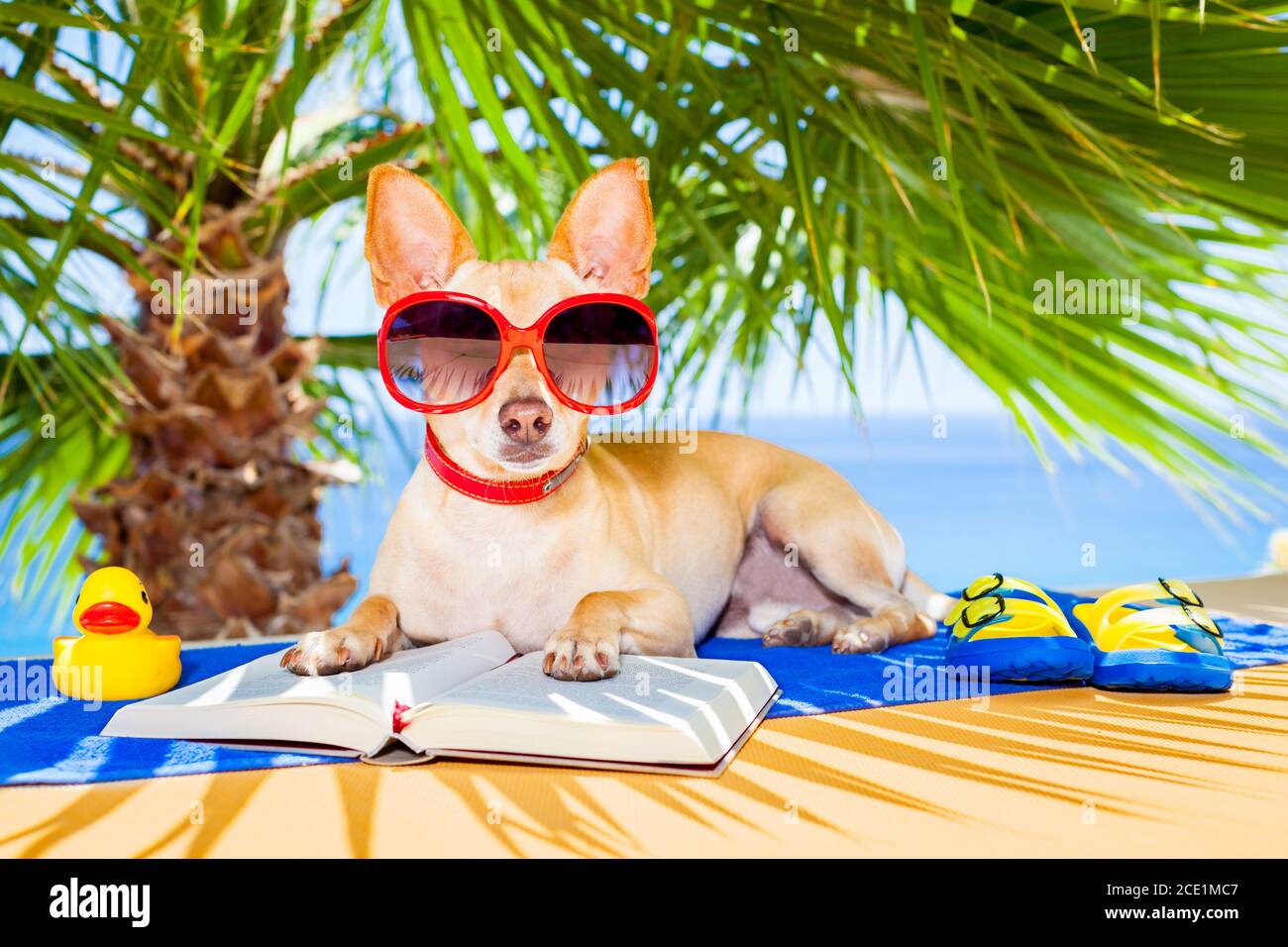 Reading magazine at beach hi-res stock photography and images - Alamy