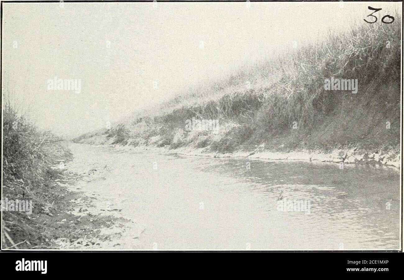 . Land drainage by means of pumps . Fig. 1.—Main Ditch, Coal Creek ...