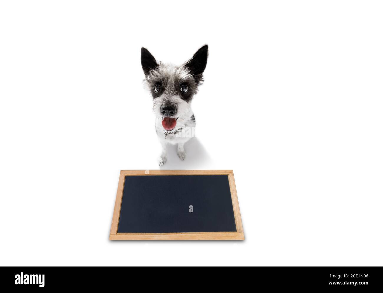 Job owner Cut Out Stock Images & Pictures - Alamy