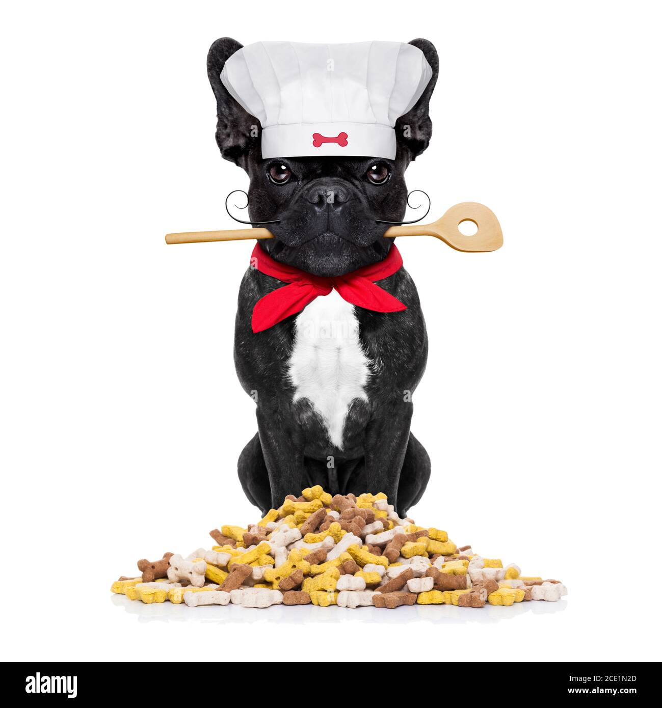 Cute dogg hi-res stock photography and images - Alamy